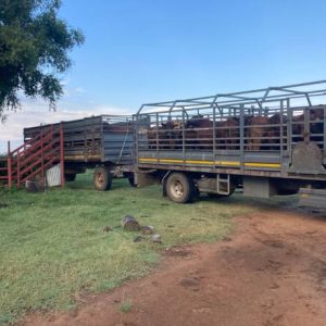 The nexus between Green Hydrogen and Agriculture – Daures Green ...