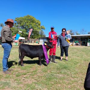 The nexus between Green Hydrogen and Agriculture – Daures Green ...